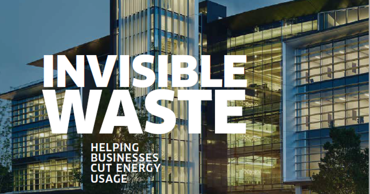 Invisible Waste - Corporate
